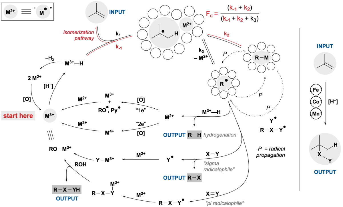 Hydrogen Atom Transfer – Shenvi Lab